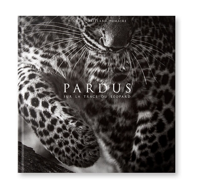 Pardus, sur la trace du léopard, Nicolas Orillard-Demaire, Spot ...
